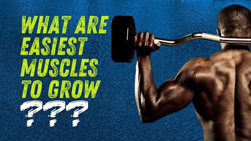 Most Easiest Muscle To Grow: Achieve Visible Results Faster
