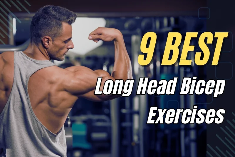 9 Best Long Head Bicep Exercises For Strength You Should Try